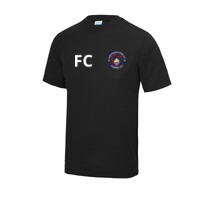Training T-Shirt PTFC